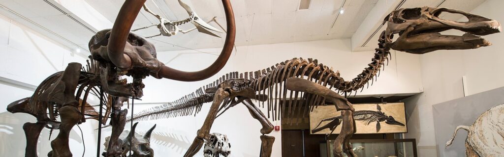 University of Wisconsin Geology Museum – UW–Madison